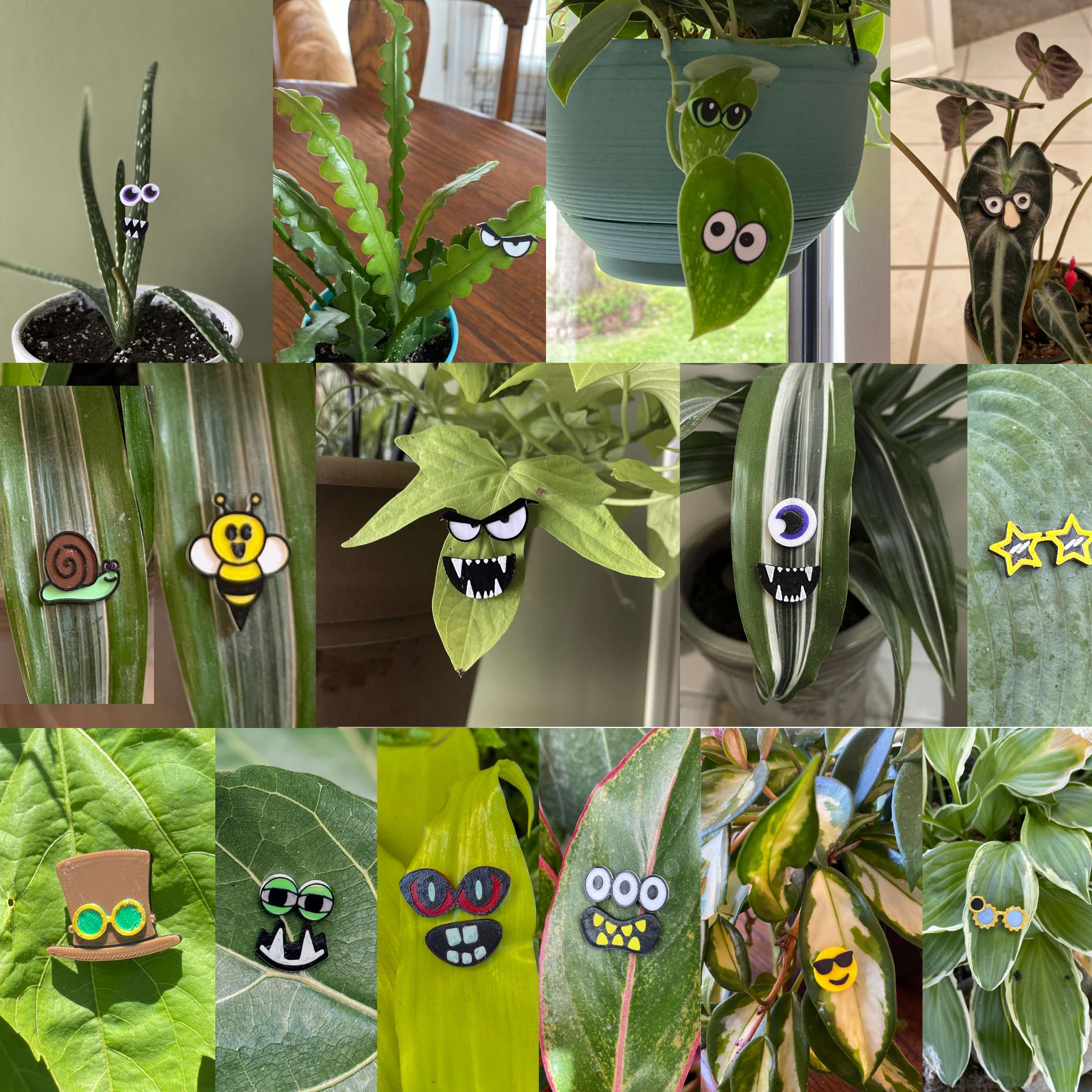 Plant Magnets – The Kokomo Lighthouse